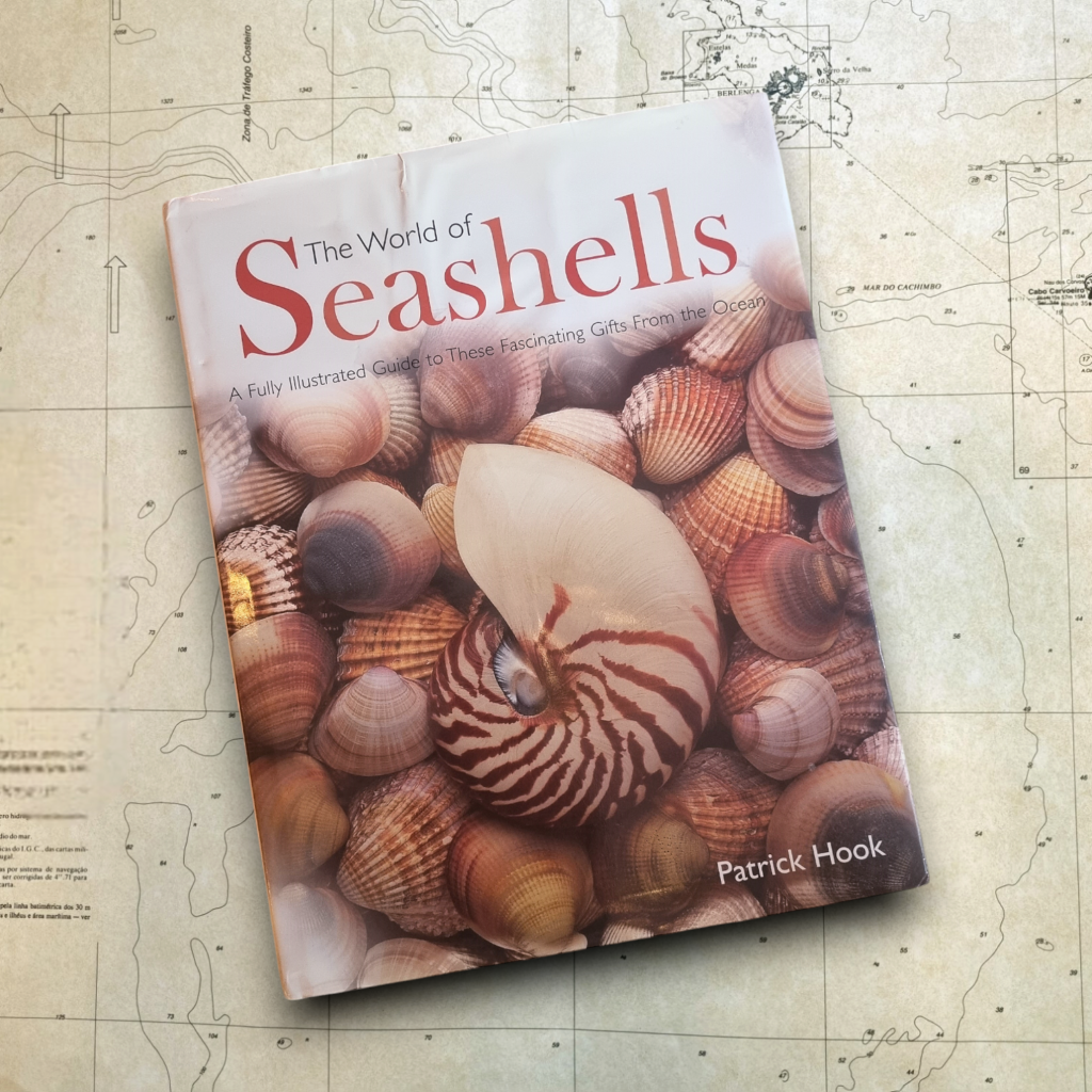 The World of Seashells - Mestre do Mar